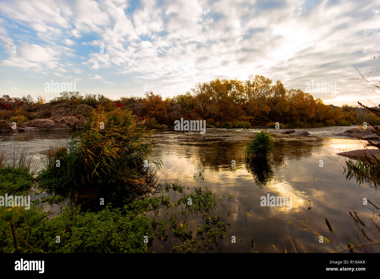 panorama of autumn river under a cloudy blue sky bright yellow trees ...
