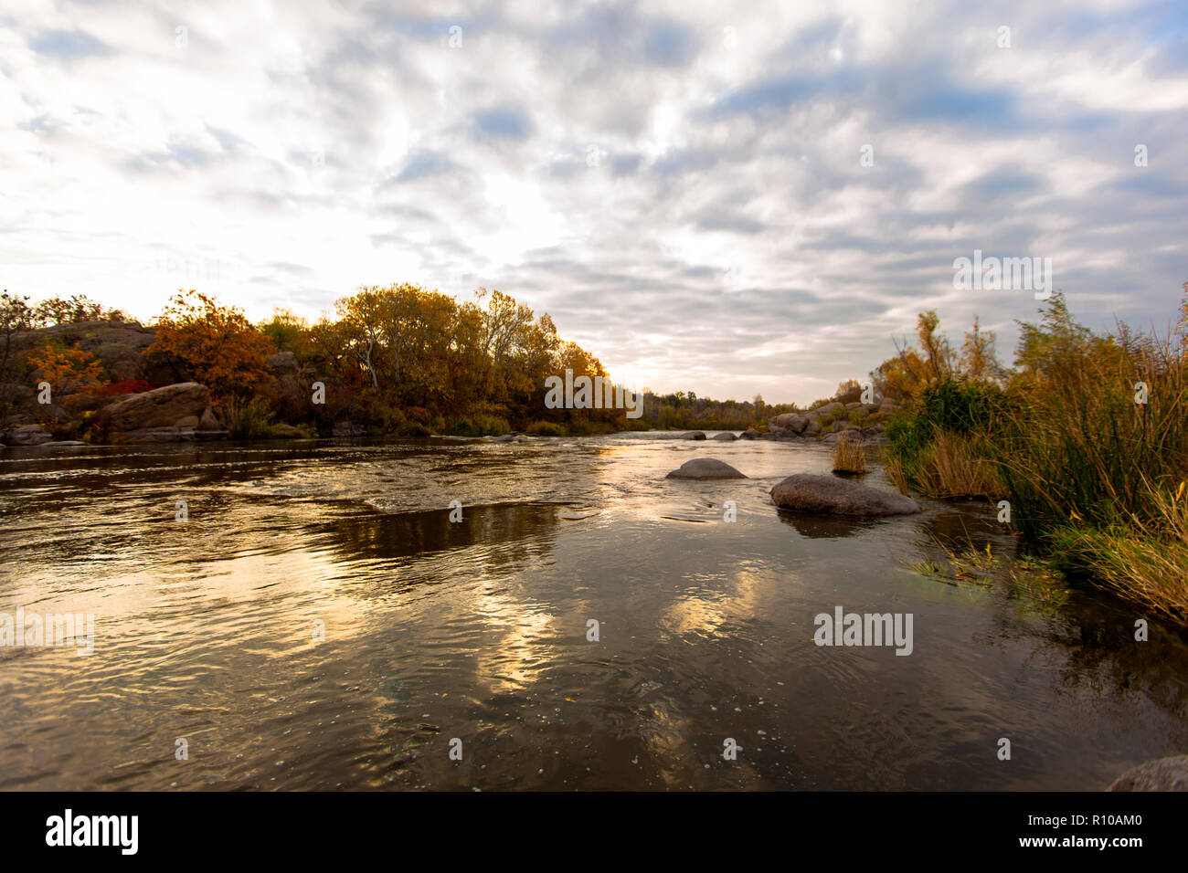 panorama of autumn river under a cloudy blue sky bright yellow trees ...