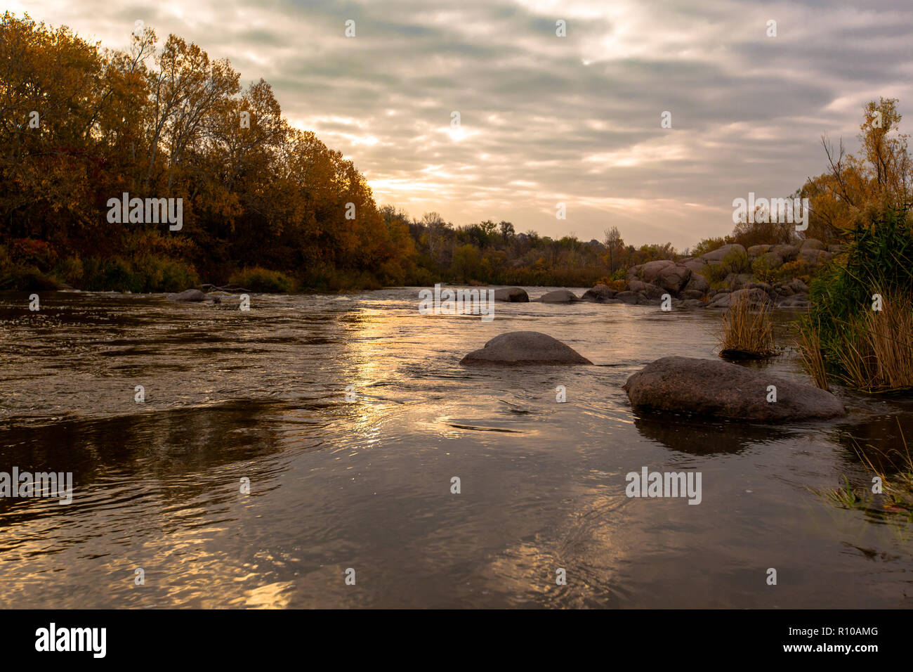panorama of autumn river under a cloudy blue sky bright yellow trees ...