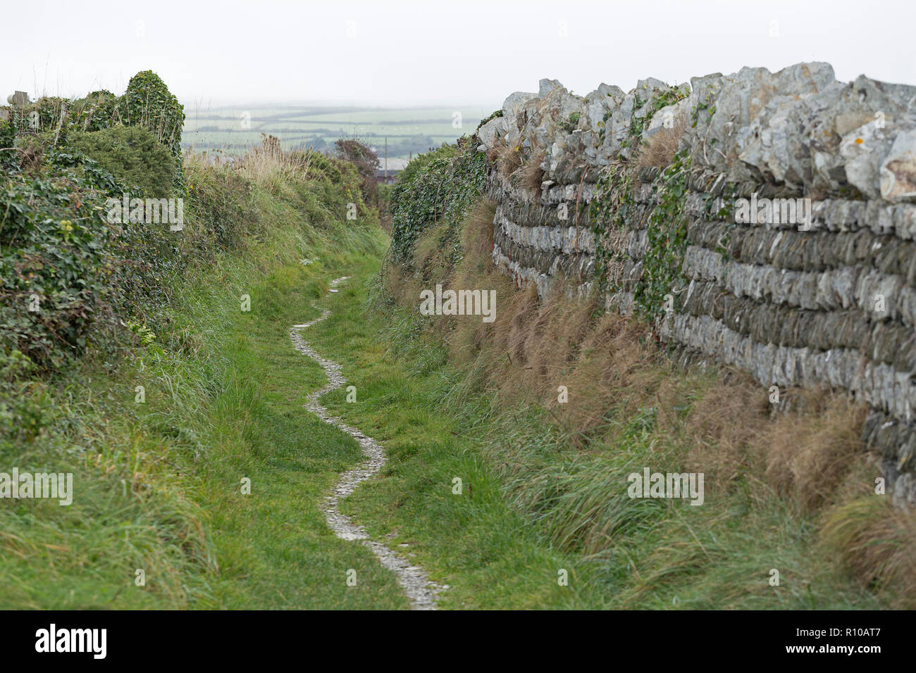 track between walls, South West Coast Path near Tintagel, Cornwall ...