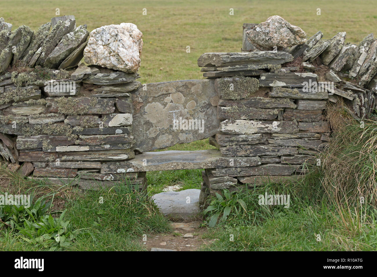 See through wall hi-res stock photography and images - Alamy