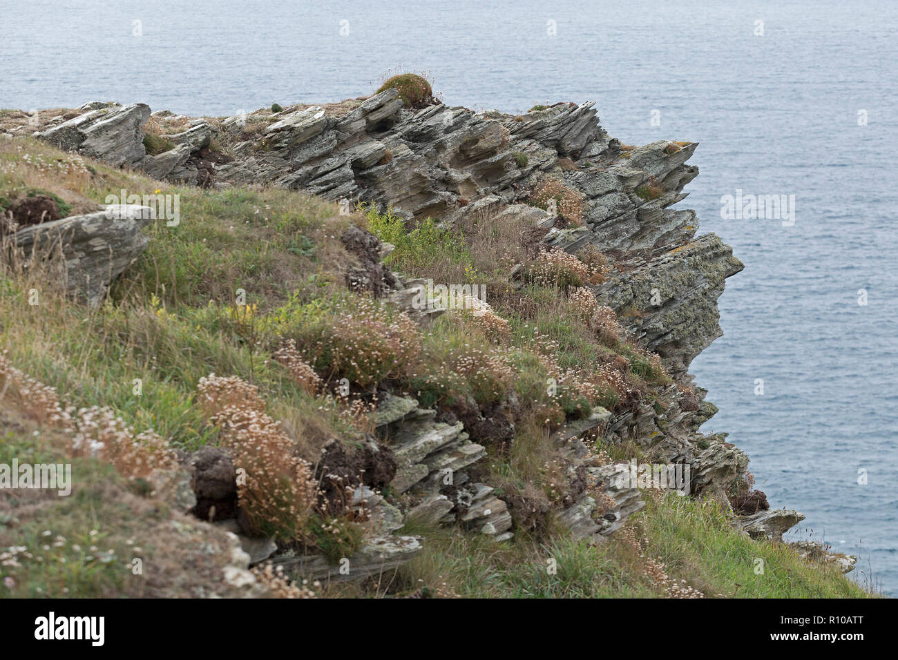 cliffs, South West Coast Path near Tintagel, Cornwall, England, Great ...