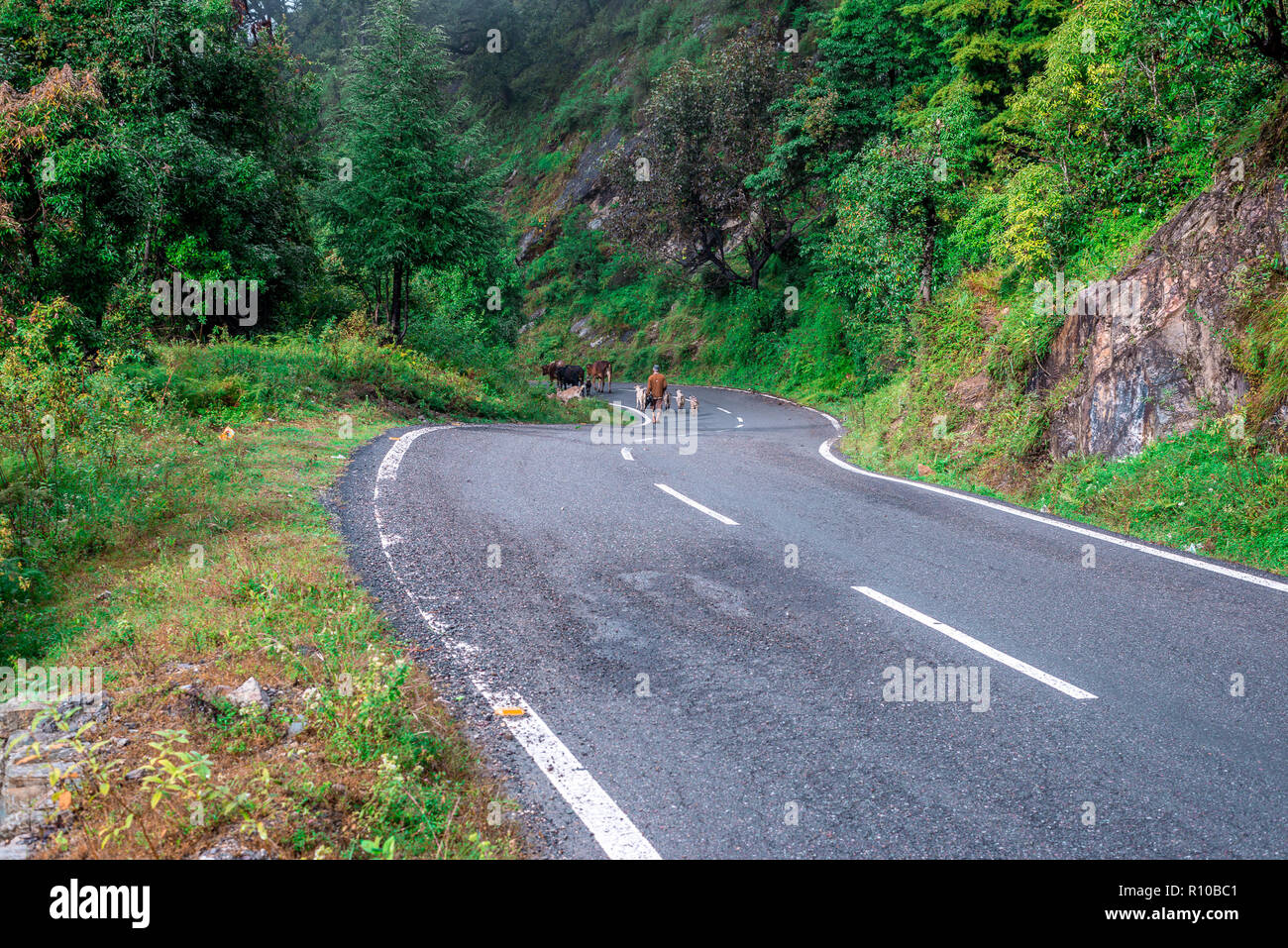 Empty Roads in Nanital District / Bhimtal Road Stock Photo - Alamy