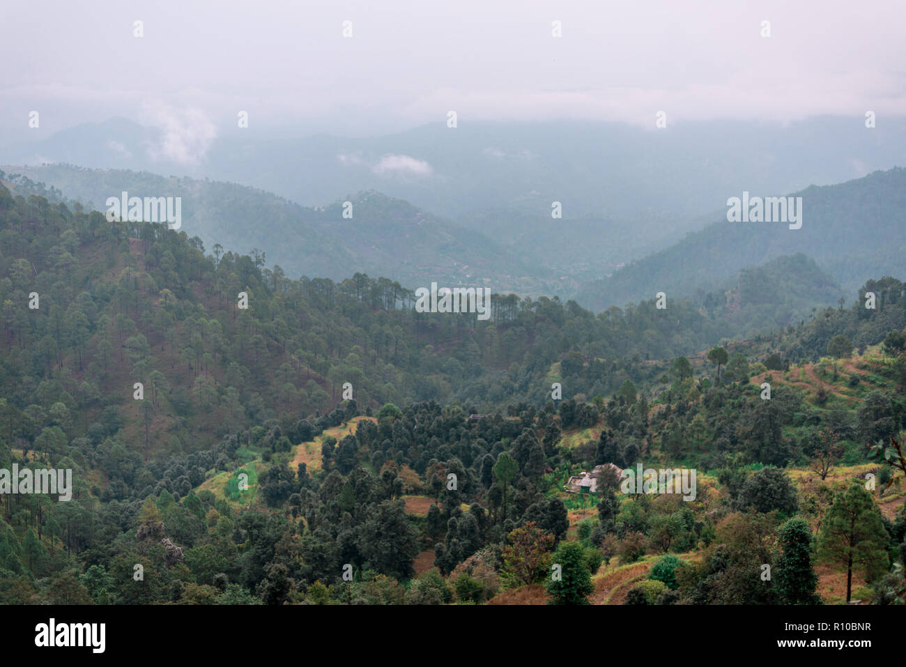 Stepping Fields - Landscape of Uttrakhand Near Bhimtal / Nainital Stock ...