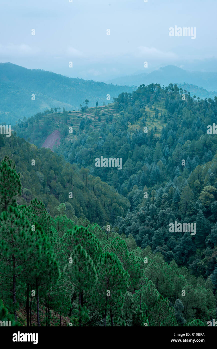 Stepping Fields - Landscape of Uttrakhand Near Bhimtal / Nainital Stock ...