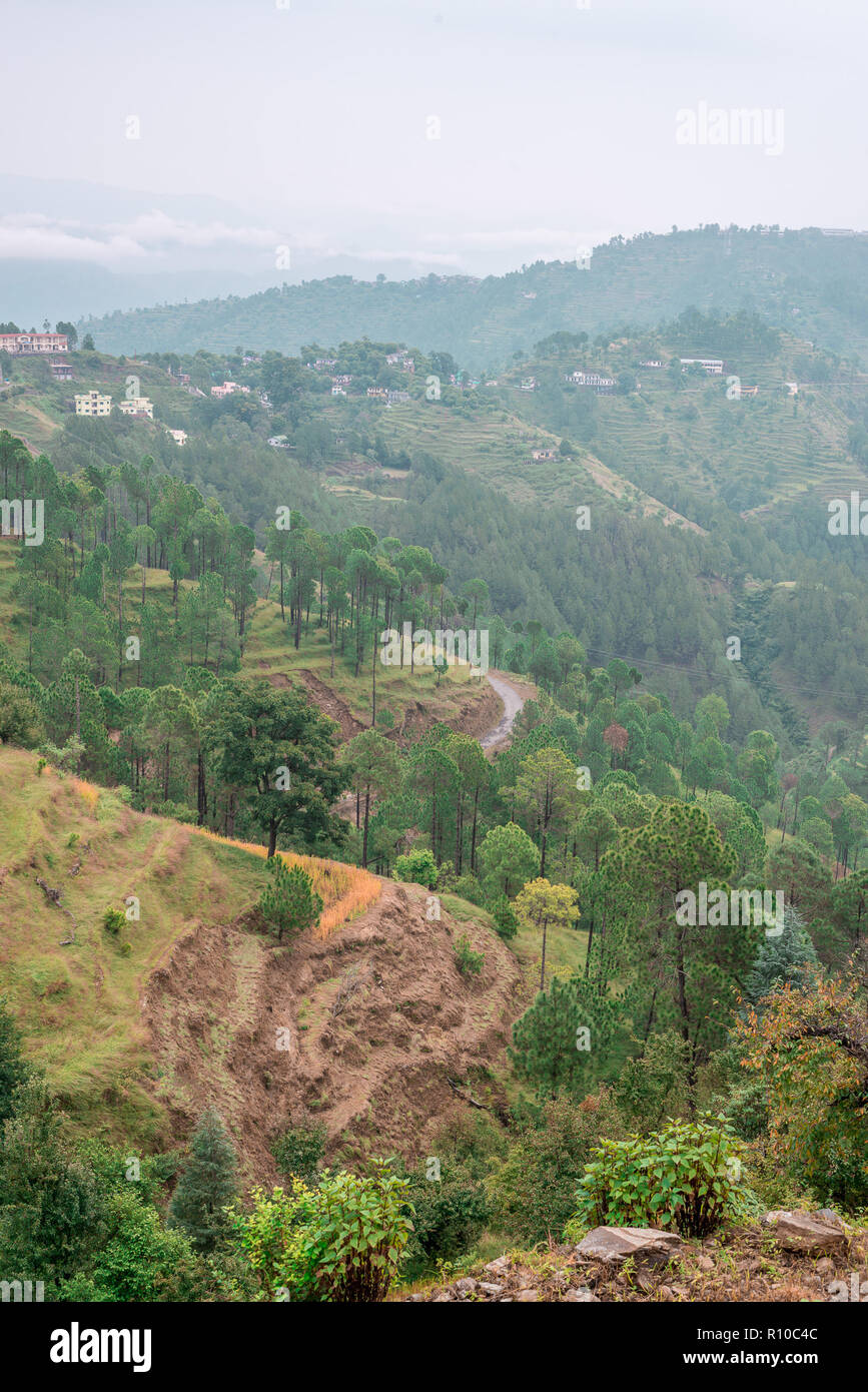 Stepping Fields - Landscape of Uttrakhand Near Bhimtal / Nainital Stock ...