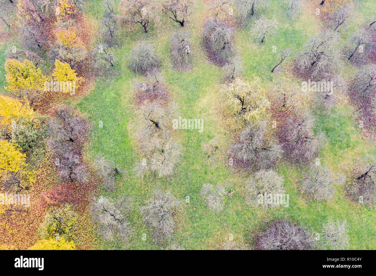 Aerial View Apple Orchard In Stock Photos & Aerial View Apple Orchard ...