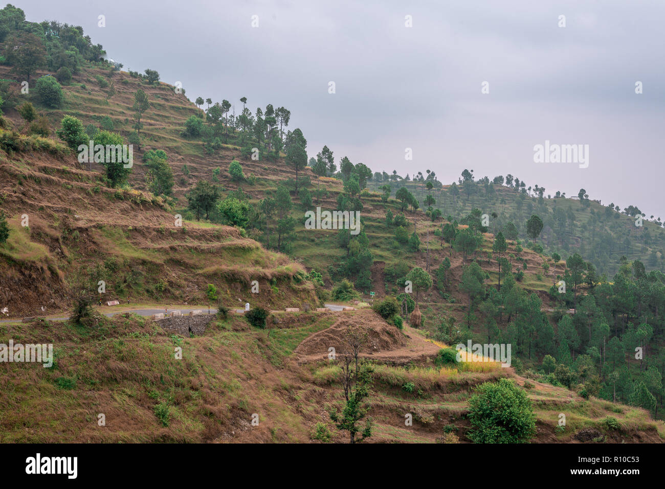 Stepping Fields - Landscape of Uttrakhand Near Bhimtal / Nainital Stock ...