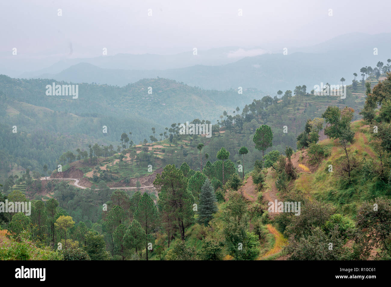Stepping Fields - Landscape of Uttrakhand Near Bhimtal / Nainital Stock ...