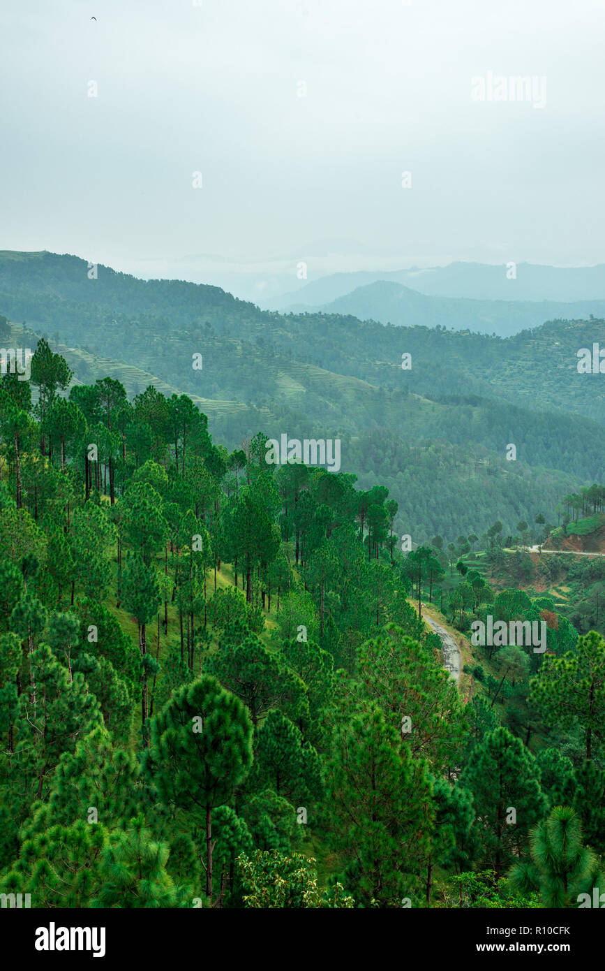 Stepping Fields - Landscape of Uttrakhand Near Bhimtal / Nainital Stock ...