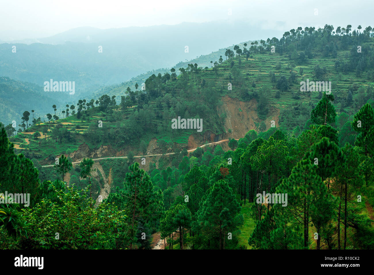 Stepping Fields - Landscape of Uttrakhand Near Bhimtal / Nainital Stock ...