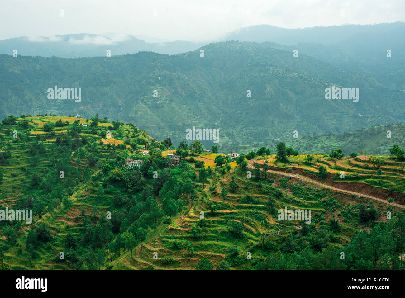 Stepping Fields - Landscape of Uttrakhand Near Bhimtal / Nainital Stock ...