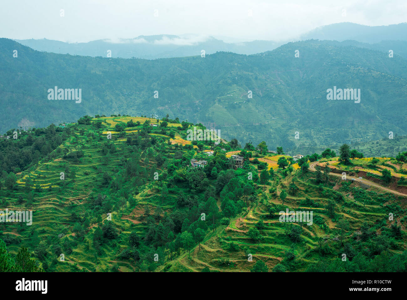 Stepping Fields - Landscape of Uttrakhand Near Bhimtal / Nainital Stock ...