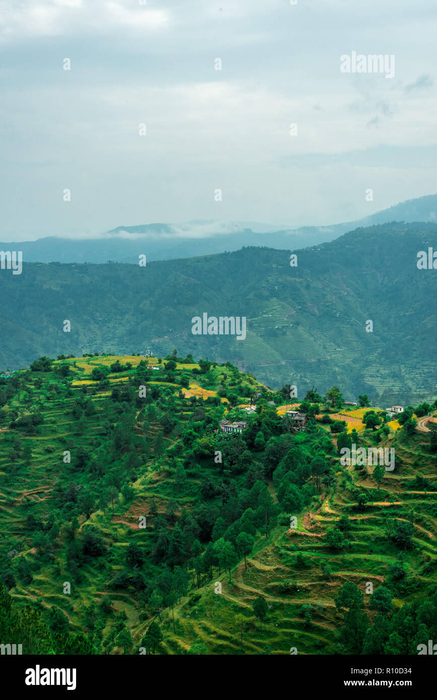 Stepping Fields - Landscape of Uttrakhand Near Bhimtal / Nainital Stock ...