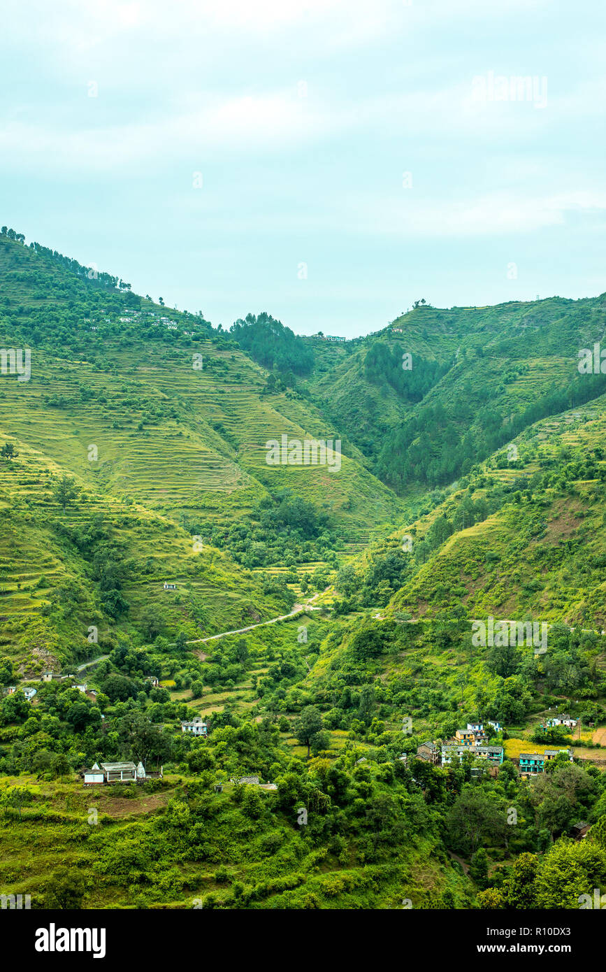 Stepping Fields - Landscape of Uttrakhand Near Bhimtal / Nainital Stock ...