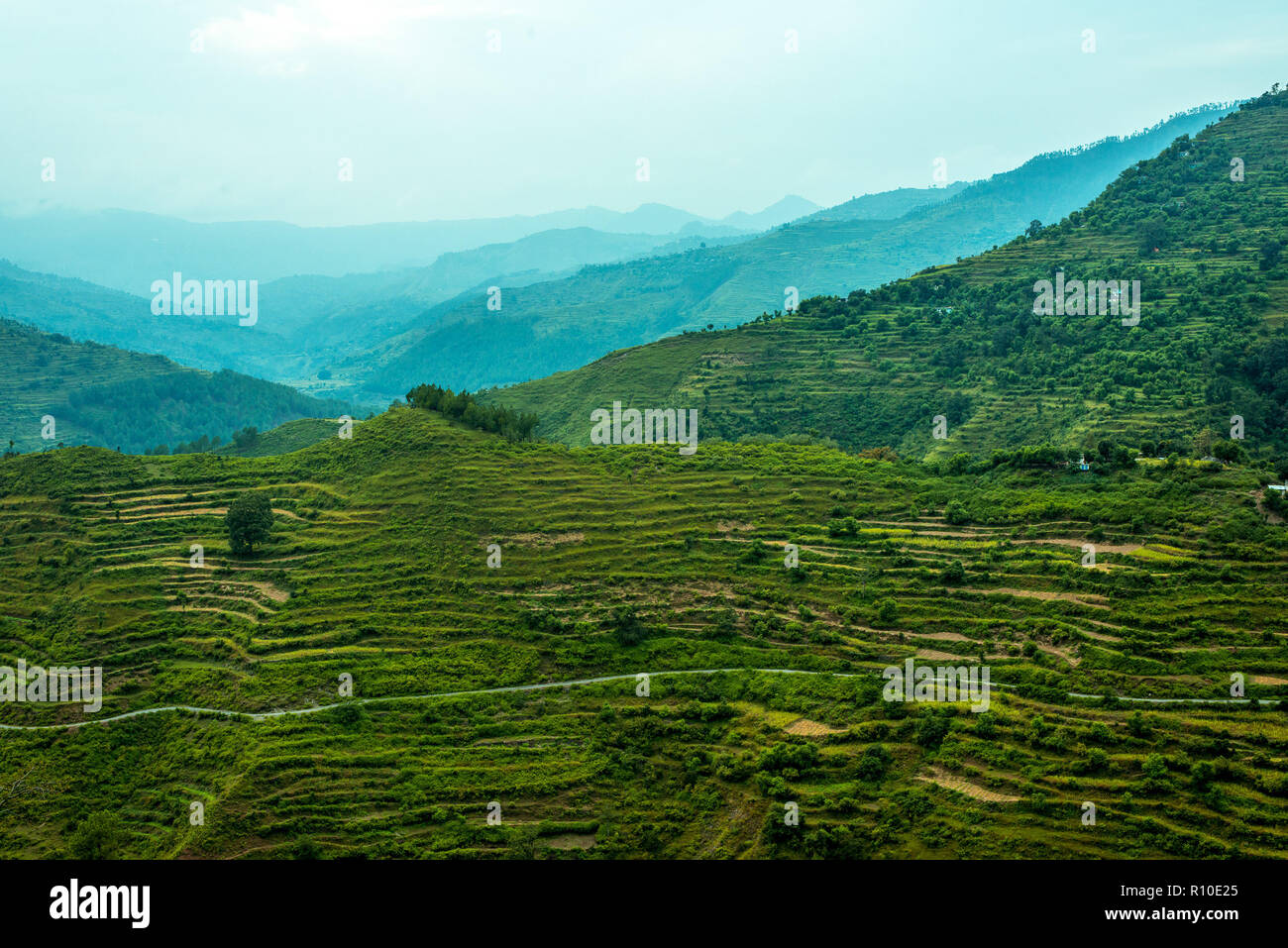 Stepping Fields - Landscape of Uttrakhand Near Bhimtal / Nainital Stock ...