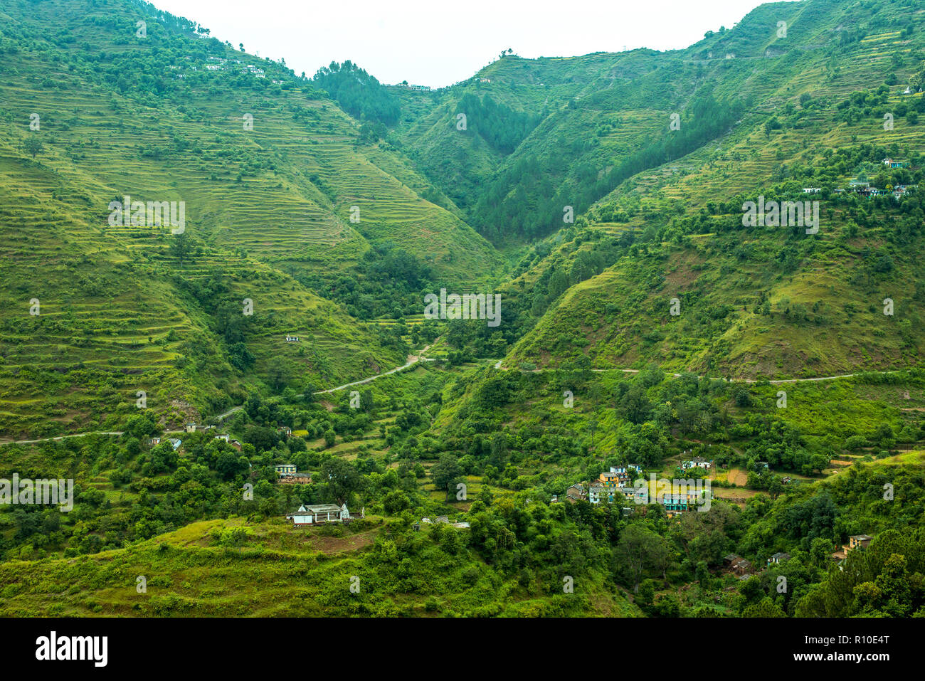 Stepping Fields - Landscape of Uttrakhand Near Bhimtal / Nainital Stock ...