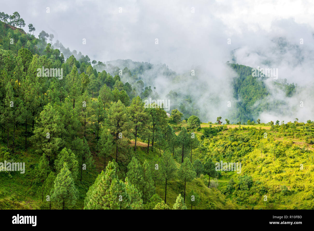 Landscape of Village in Uttrakhand Near Bhimtal / Nainital Stock Photo ...