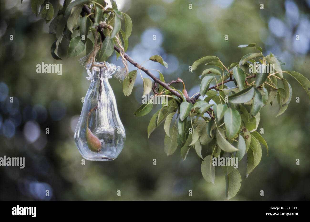 Rosendals slottstradgard hi-res stock photography and images - Alamy