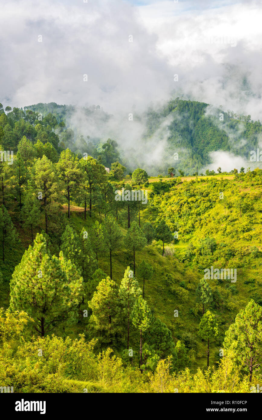 Landscape of Village in Uttrakhand Near Bhimtal / Nainital Stock Photo ...