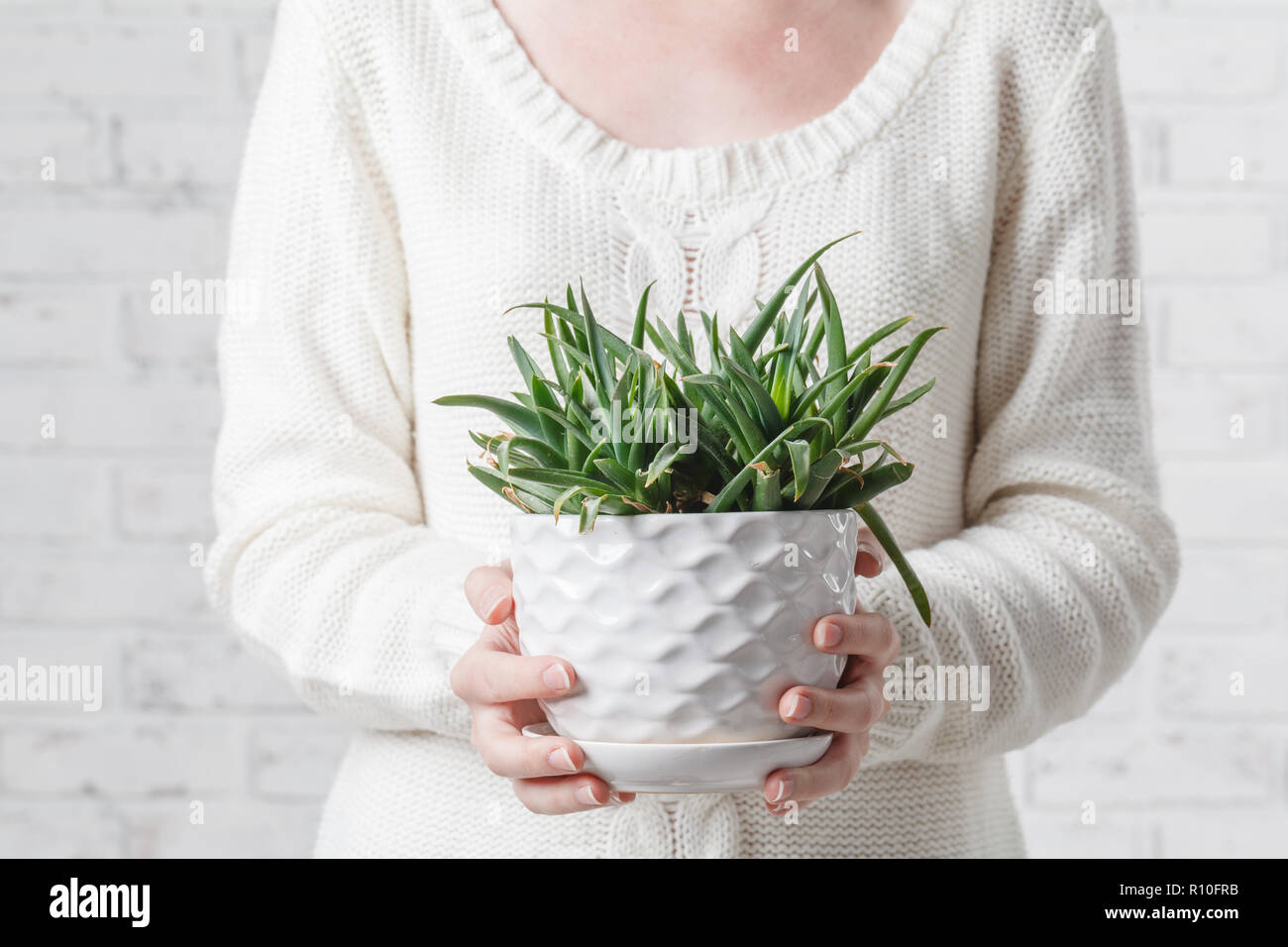 Hand holding string pearls hi-res stock photography and images - Alamy