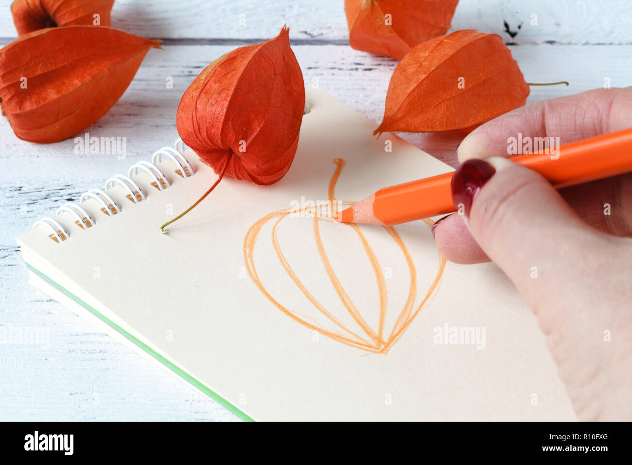 Close up of the hands drawing a fall leaf covered with autumn leaves ...