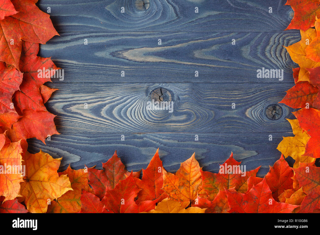 Rustic Fall Decoration Display of Maple Leaves Frame Stock Photo - Alamy