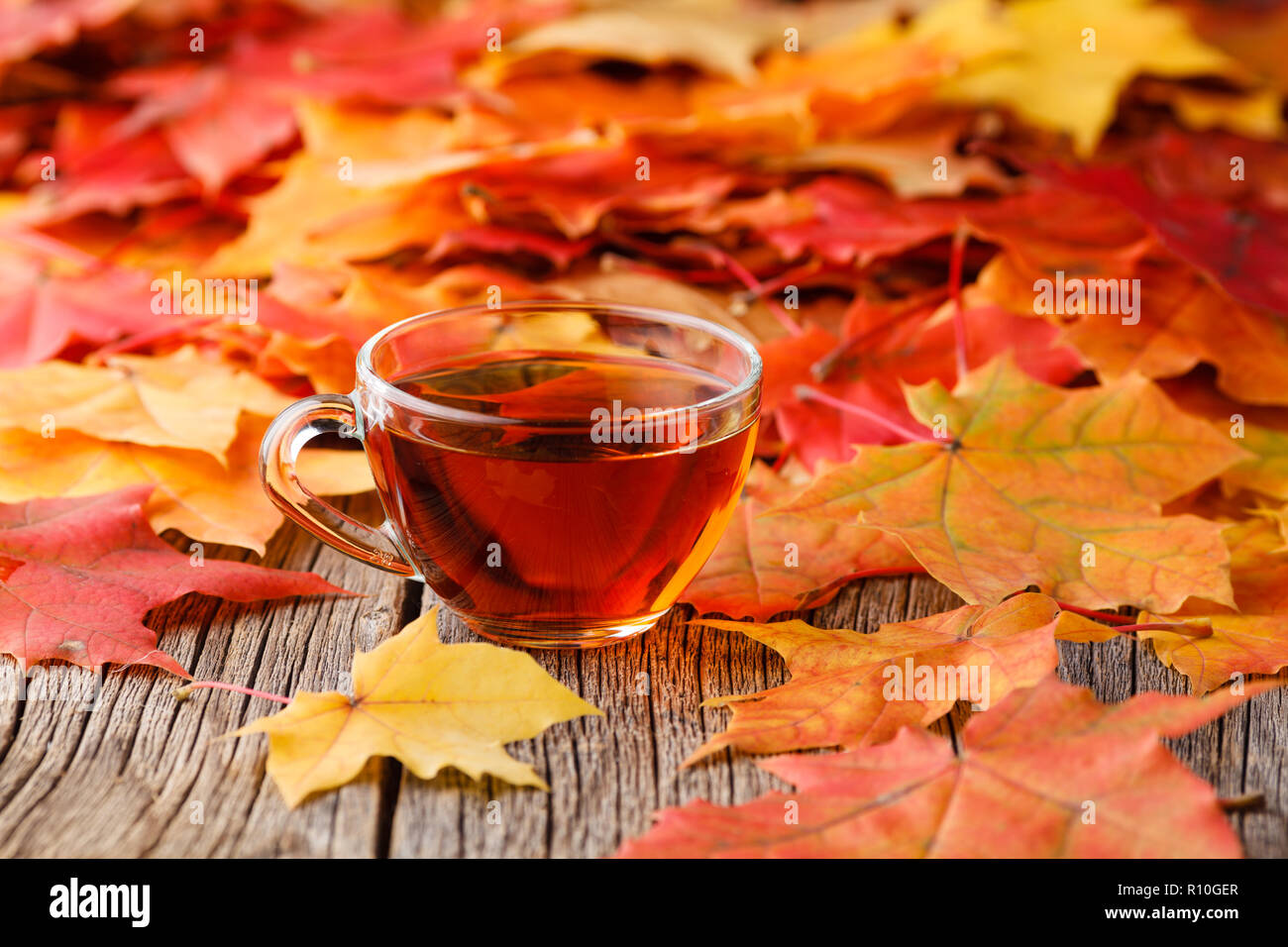Fall background with maple leaves on wood table Stock Photo - Alamy