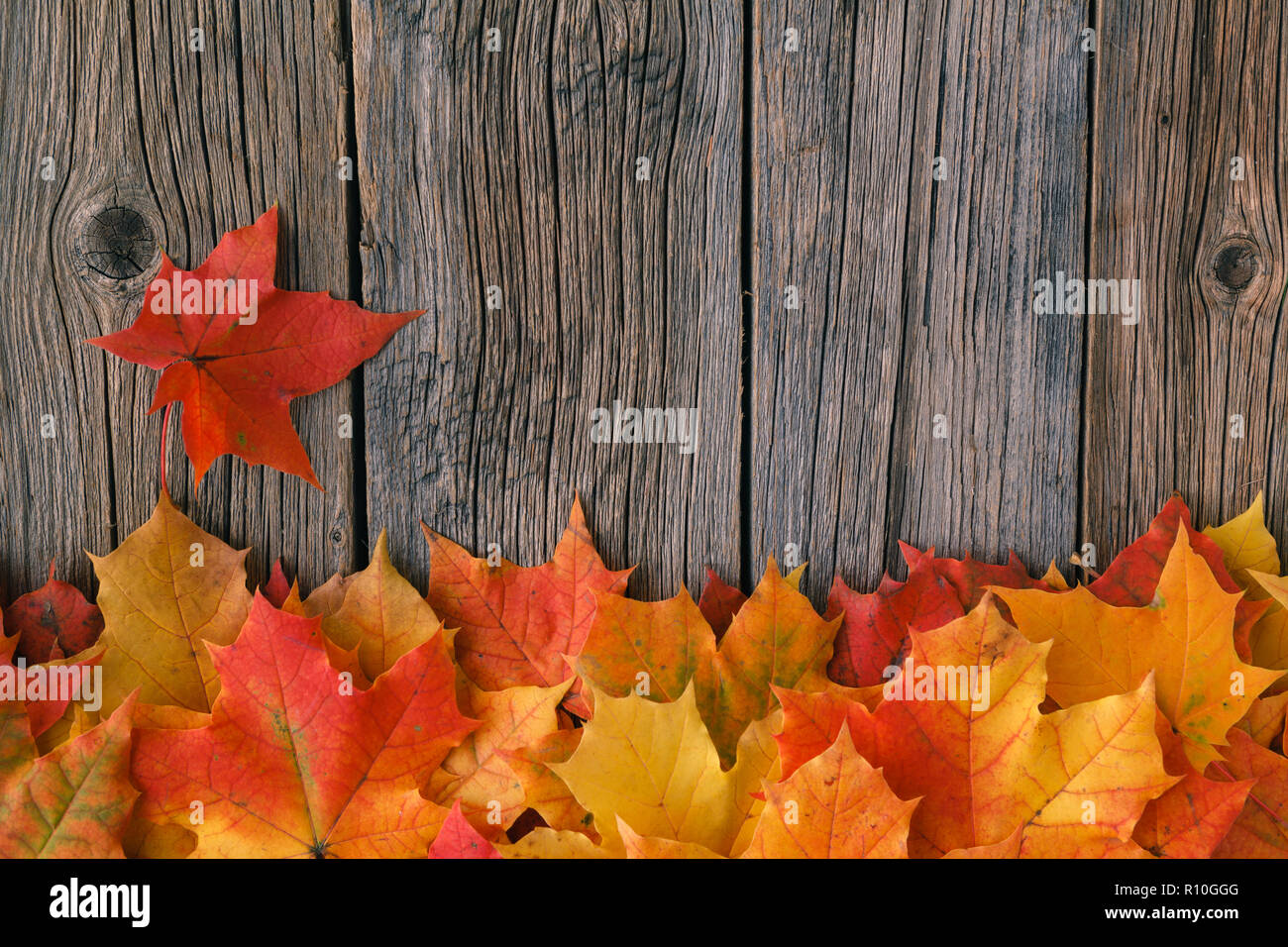 Fall maple leaf on wooden table, background texture Stock Photo - Alamy