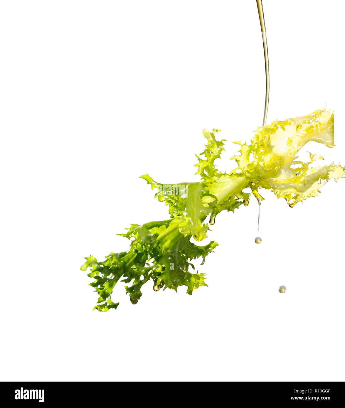 Oil pouring on frisee lettuce leaf, white background Stock Photo - Alamy