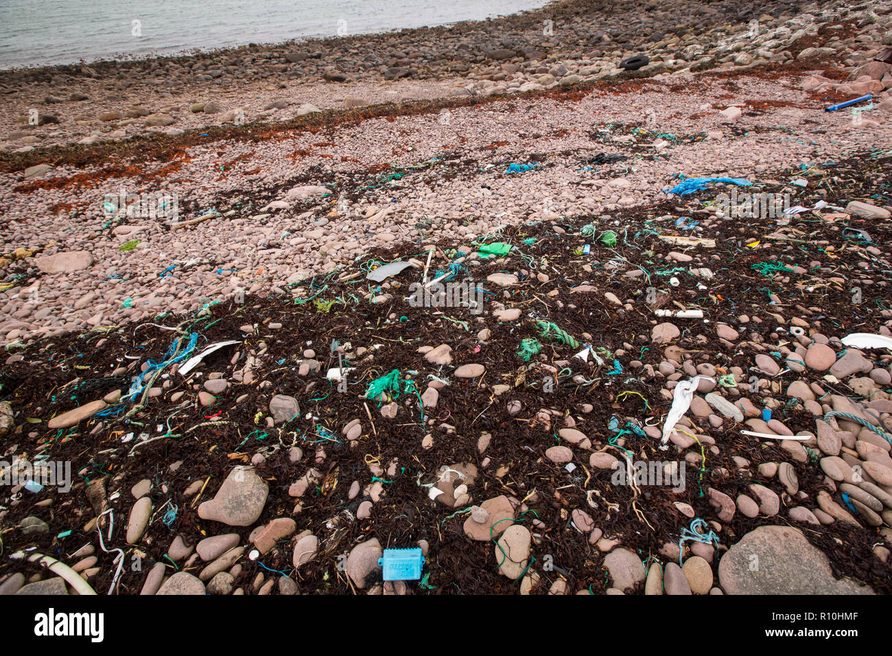 Fishing netting and other plastics in the tide wrack, washed ashore on ...