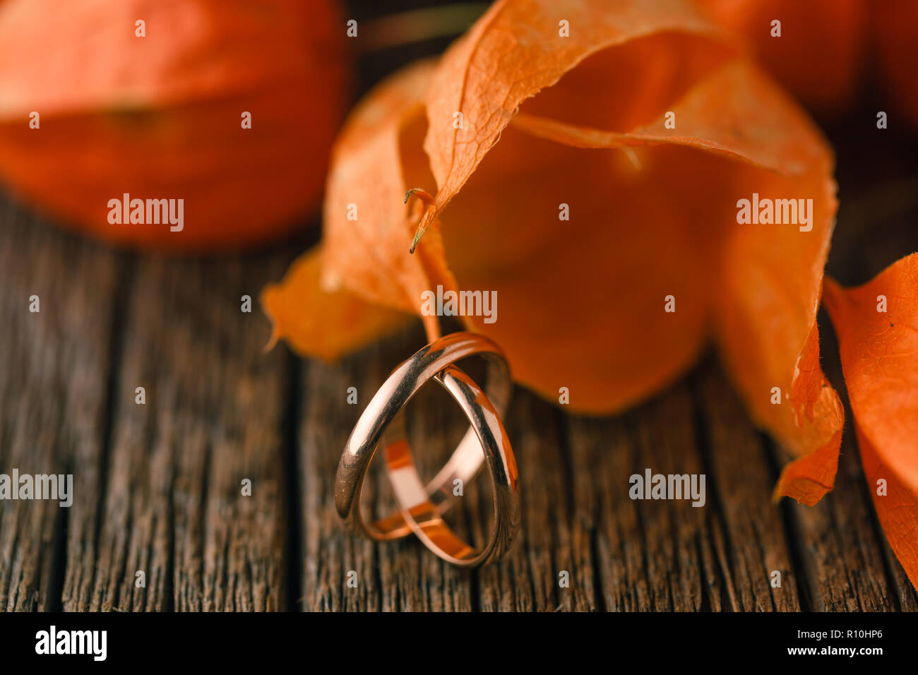 Wedding rings maple leaves hi-res stock photography and images - Alamy