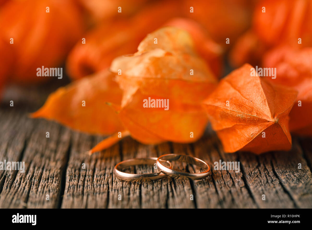 Wedding Rings on Red Autumn Leaves Stock Photo - Alamy