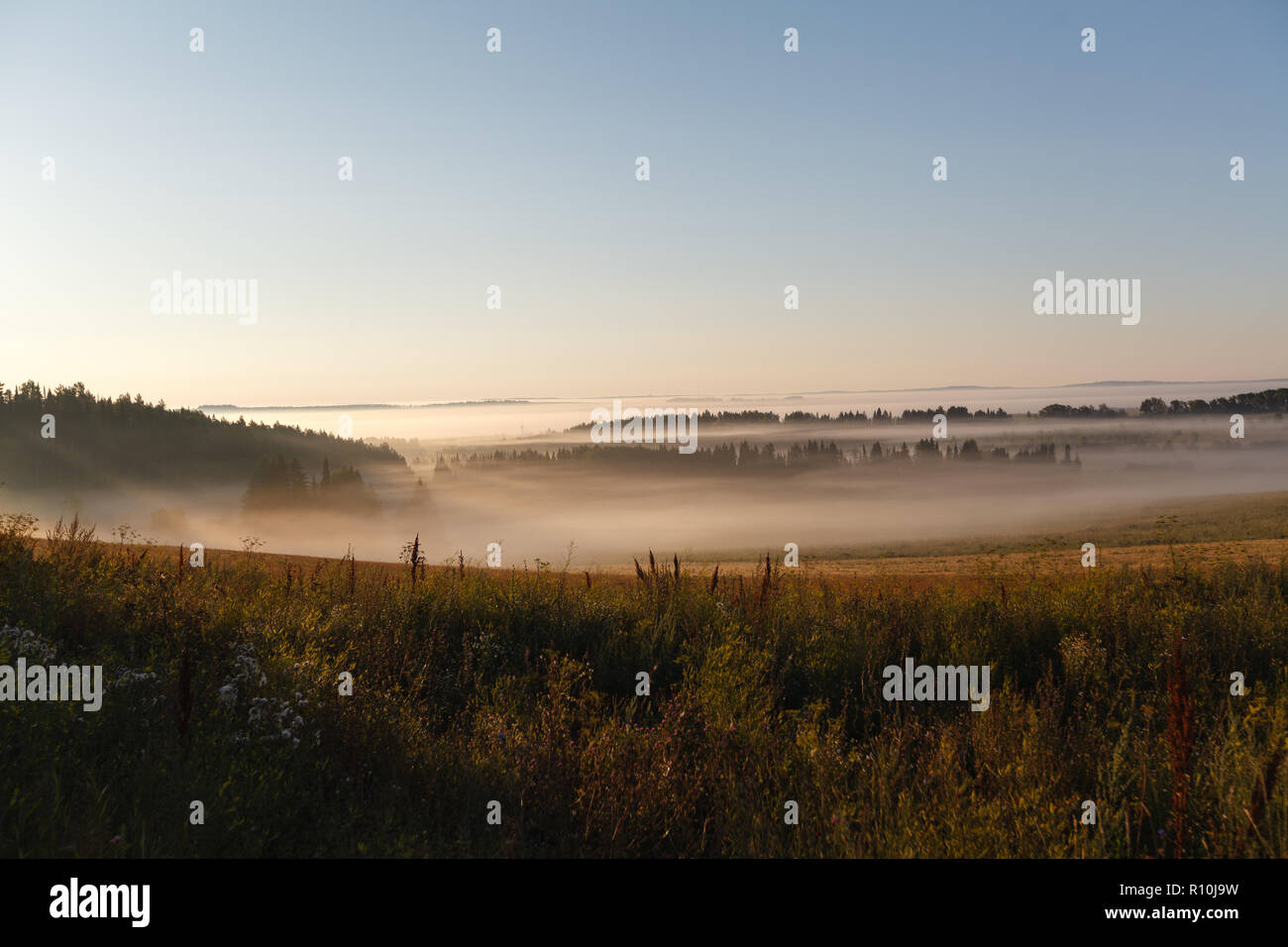 ground with morning mist Stock Photo - Alamy