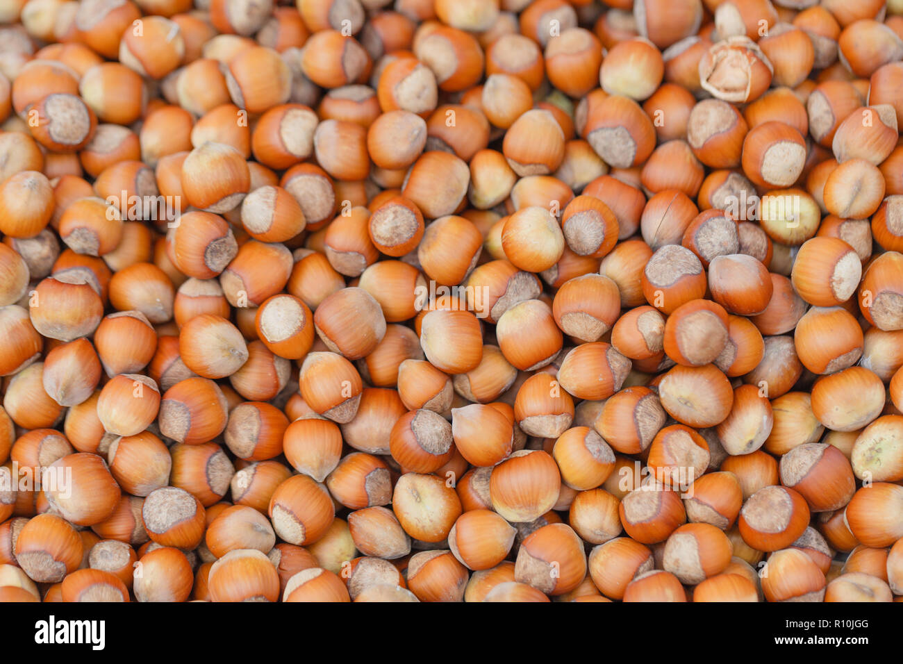 Background hazelnuts, walnuts, lots of nuts Stock Photo - Alamy