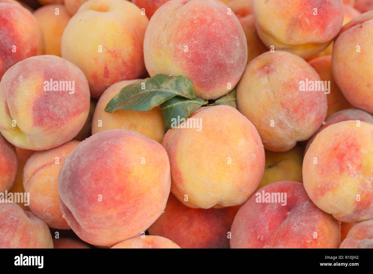 Fresh organic peaches at a local farmers market Stock Photo - Alamy