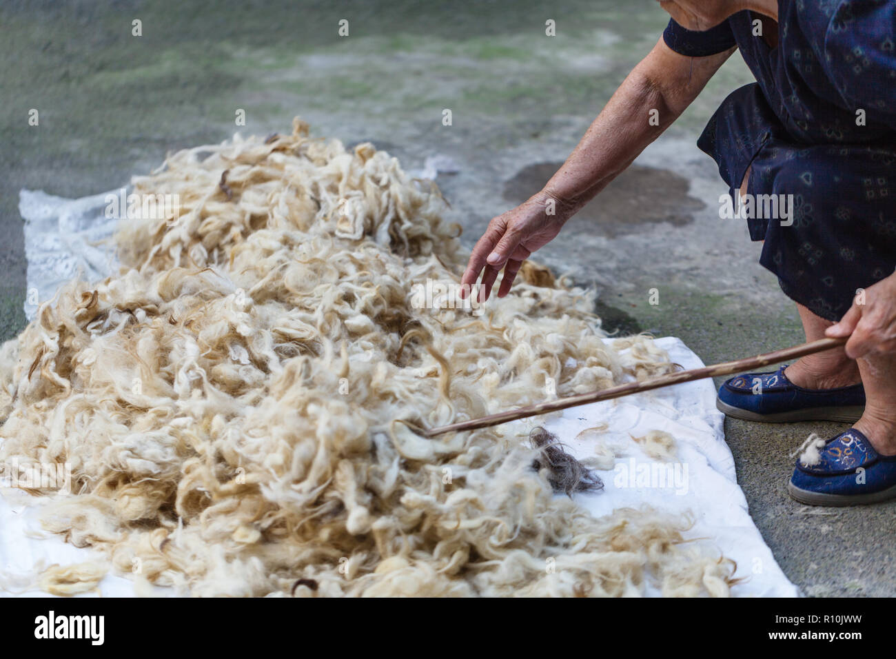 sheeps processing of sheep's wool traditional Stock Photo - Alamy