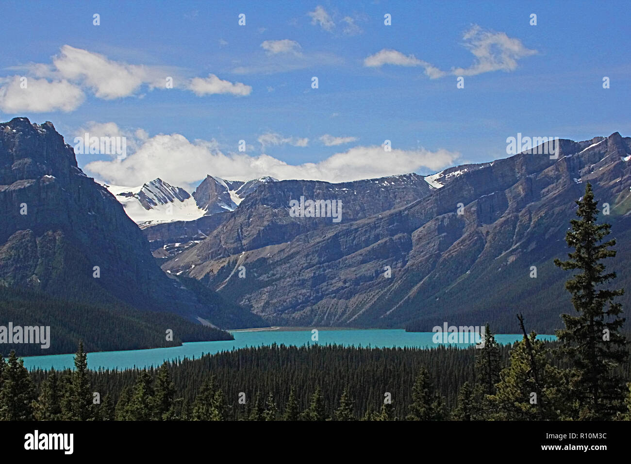 Canadian ecologist hi-res stock photography and images - Alamy