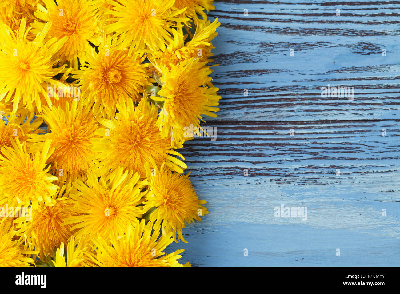 Dandelion background frame on blue Stock Photo - Alamy