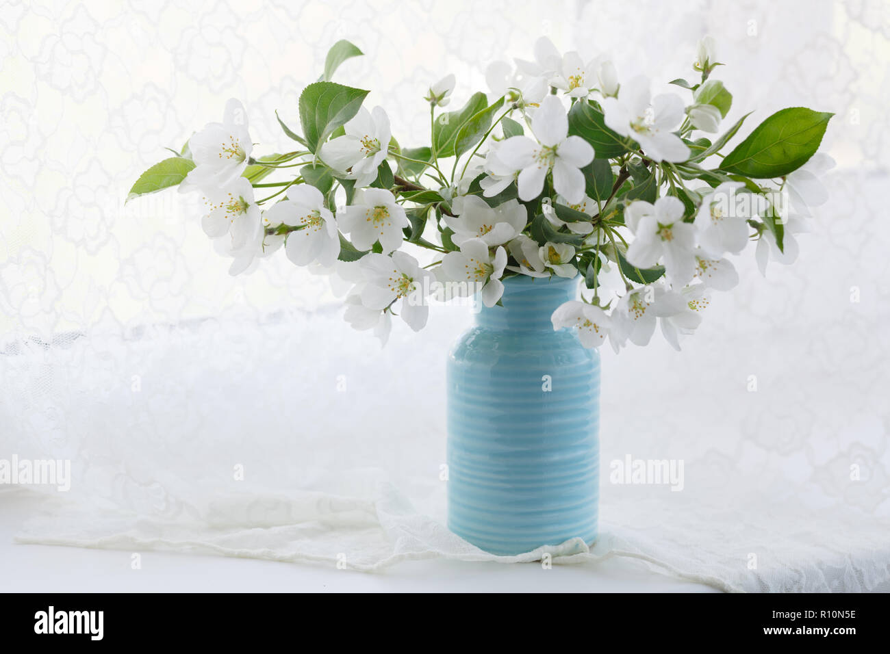 first spring flowers on white background with space for text Stock ...
