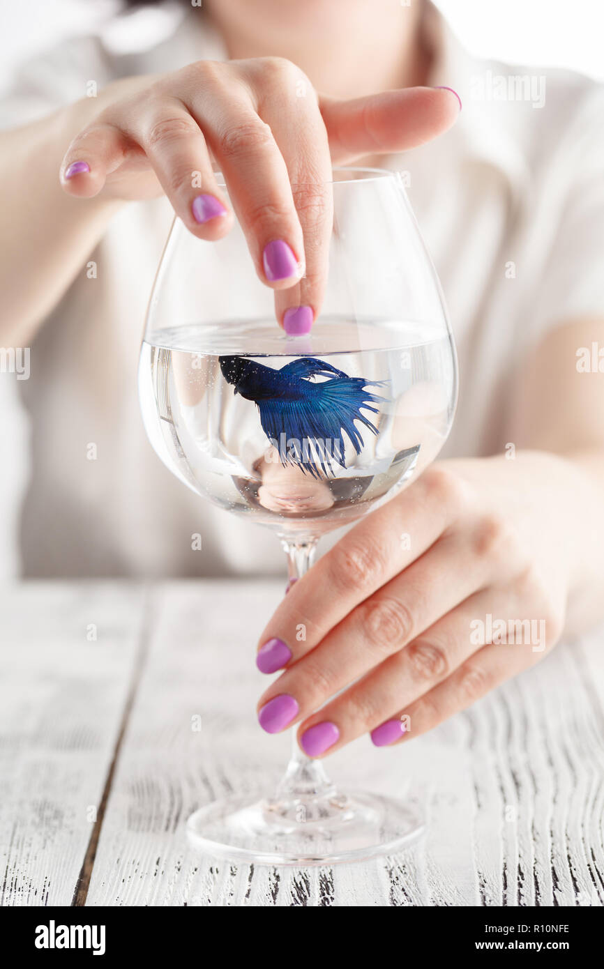 Fish in Hands Stock Photo - Alamy