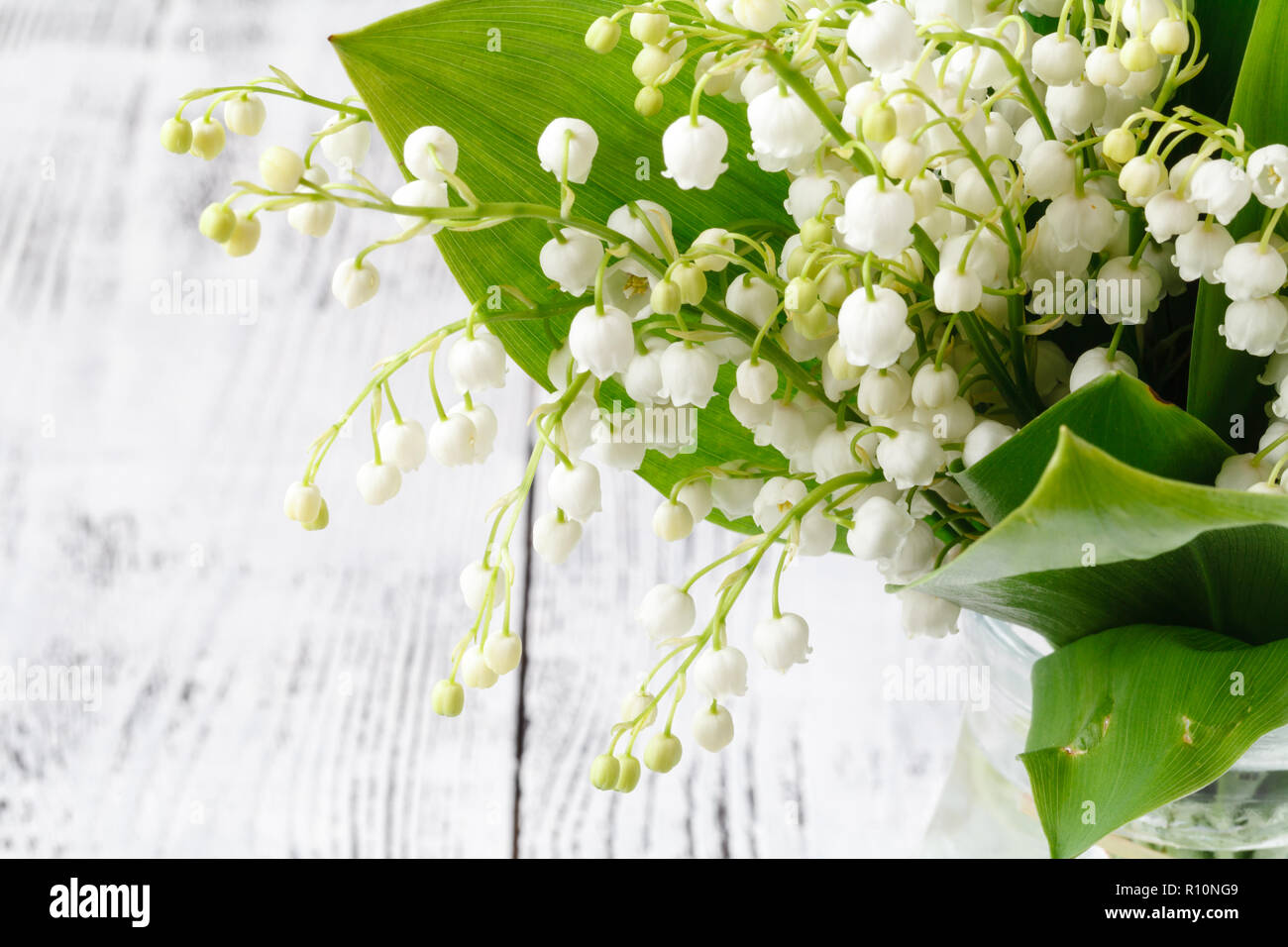 Lily Apple High Resolution Stock Photography and Images - Alamy