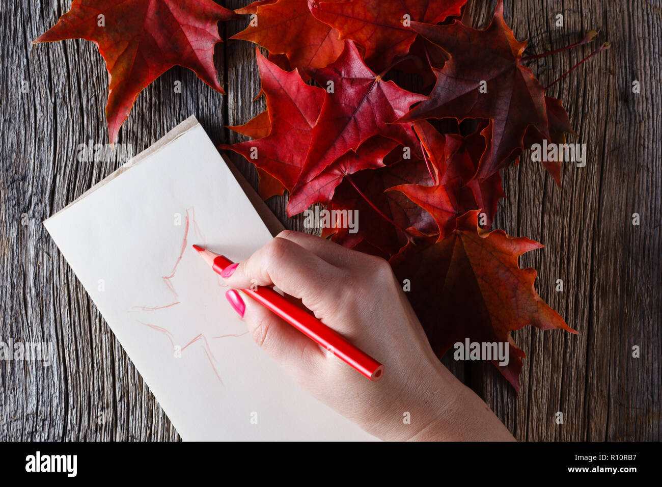 Hand drawing with pen and sketchbook. Autumn leaves on weathered ...