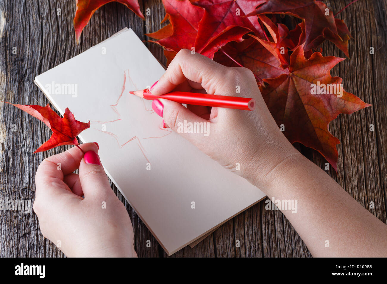 Hand drawing with pen and sketchbook. Autumn leaves on weathered ...