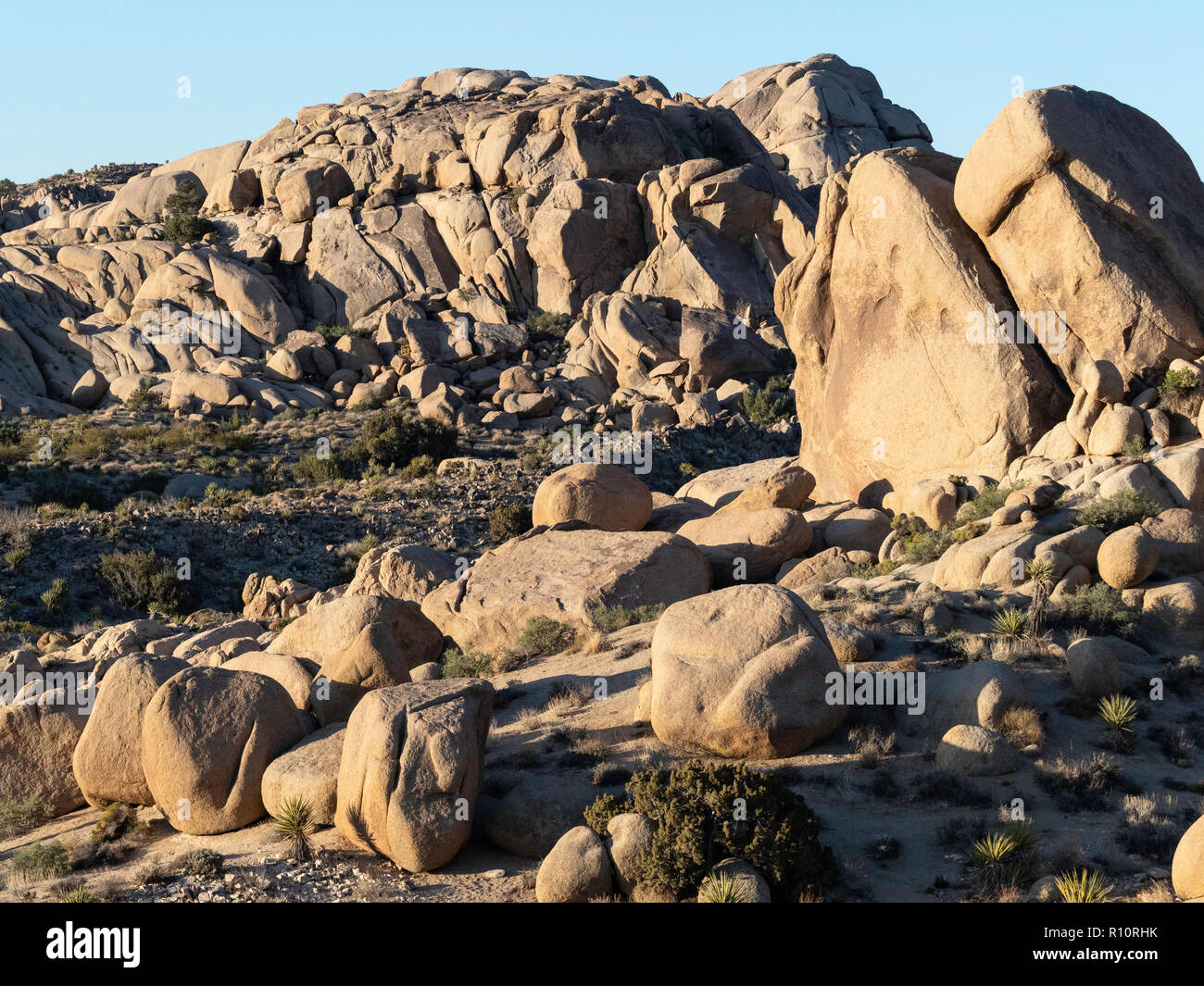 Views of Joshua Tree National Park from the Split-Rock Trail ...