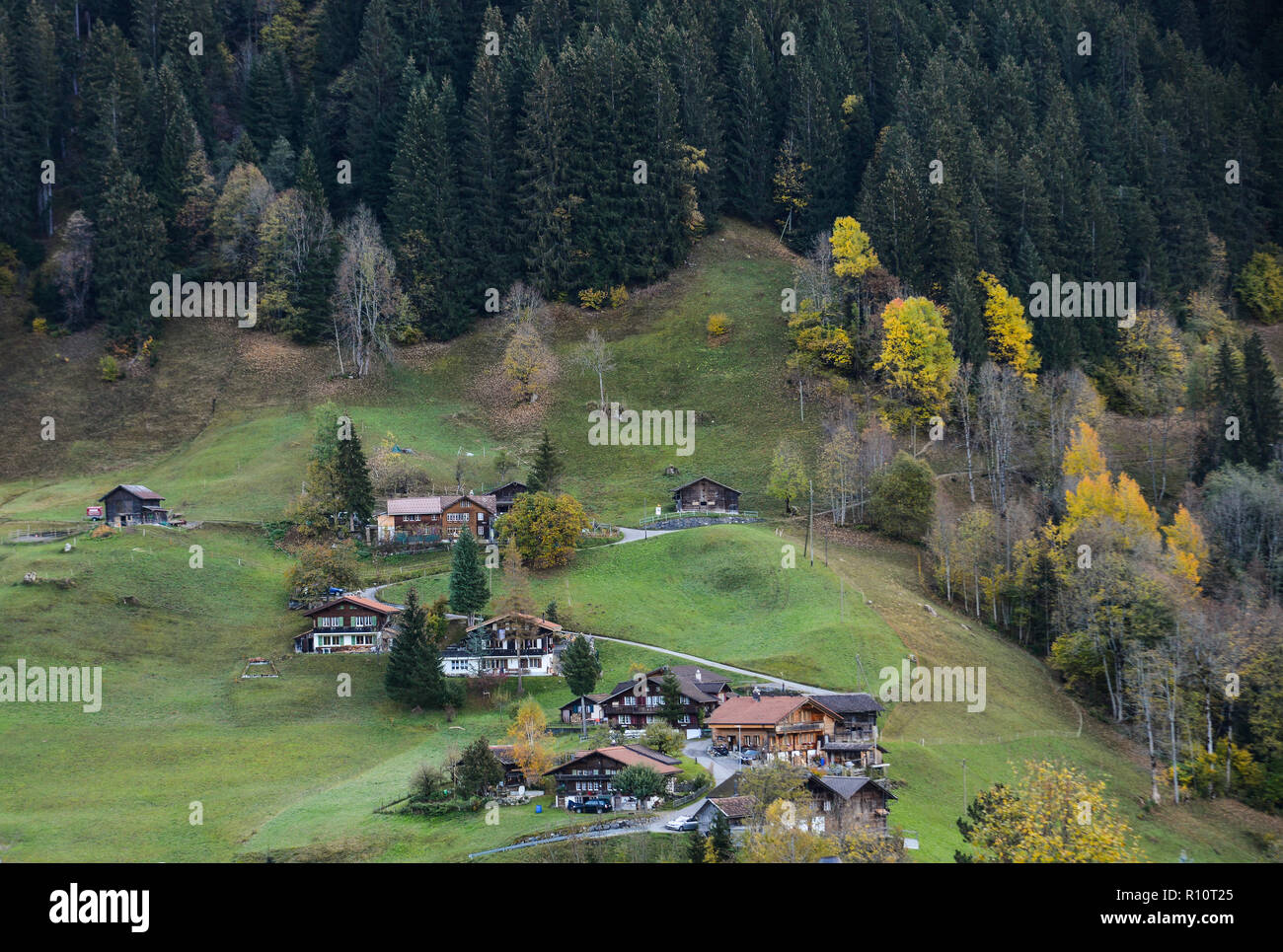 Mountain village of Grindelwald, Switzerland. Grindelwald was one of ...