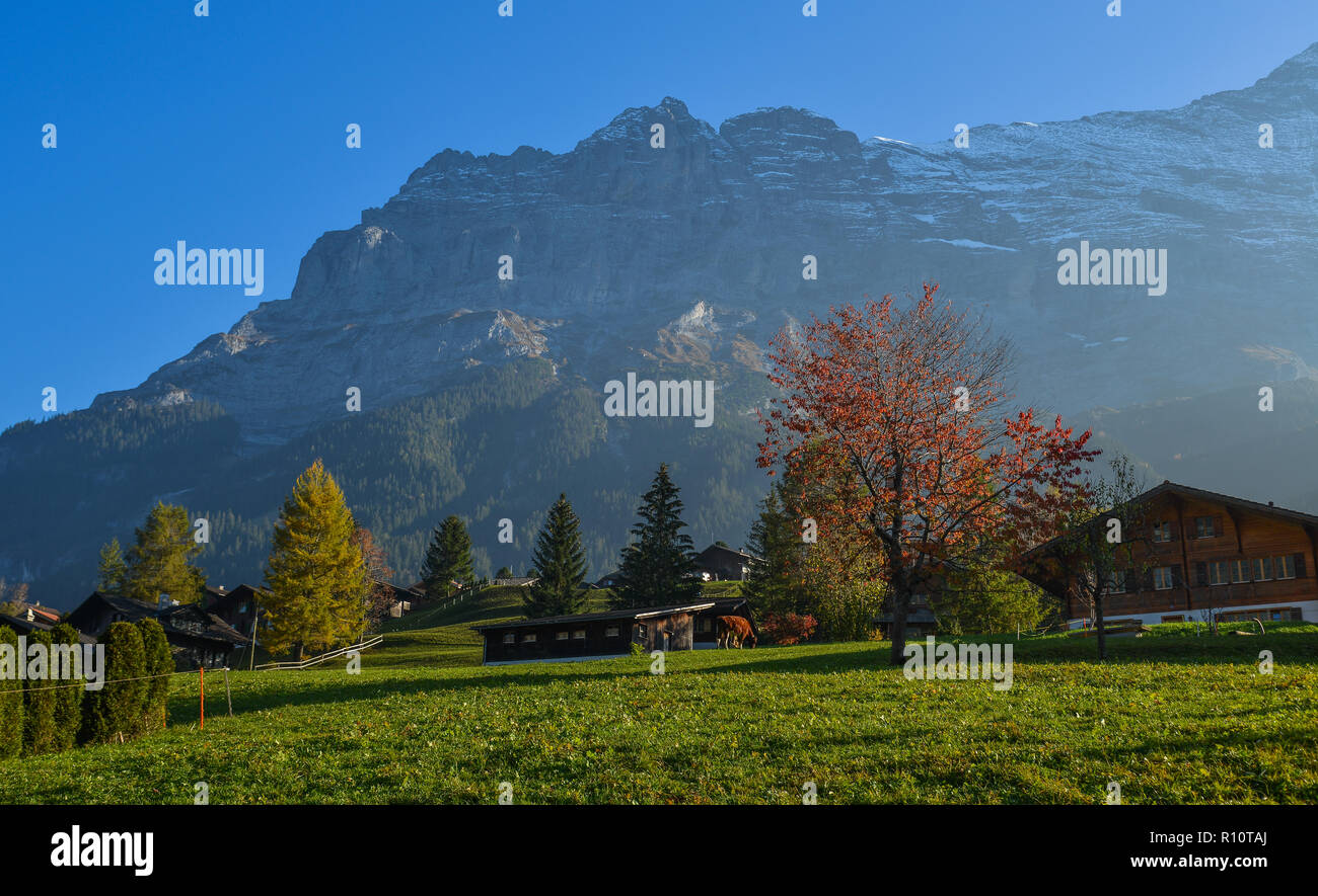 Mountain village in Grindelwald, Switzerland. Grindelwald was one of ...