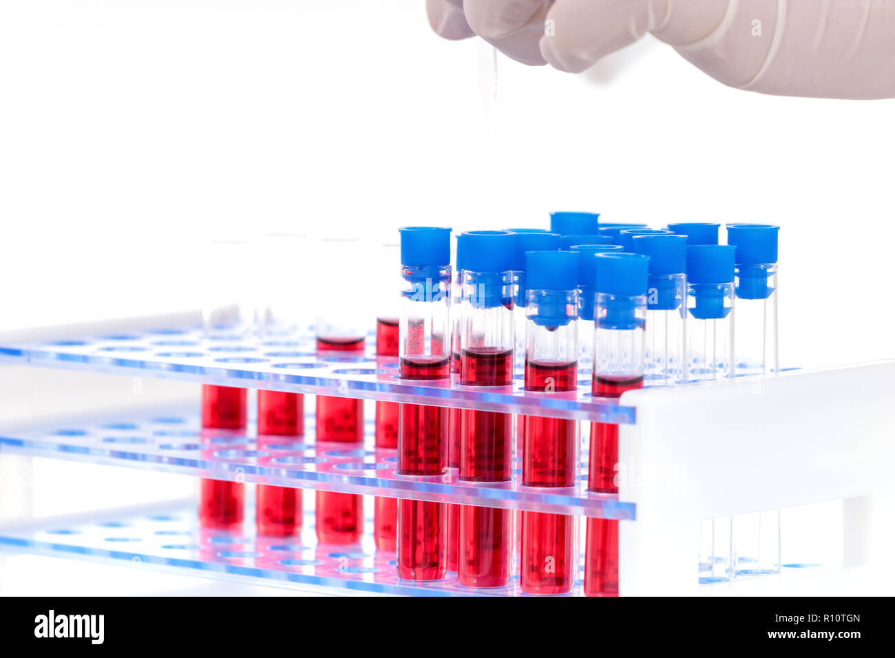 Scientist filling test tubes with pipette in laboratory Stock Photo - Alamy