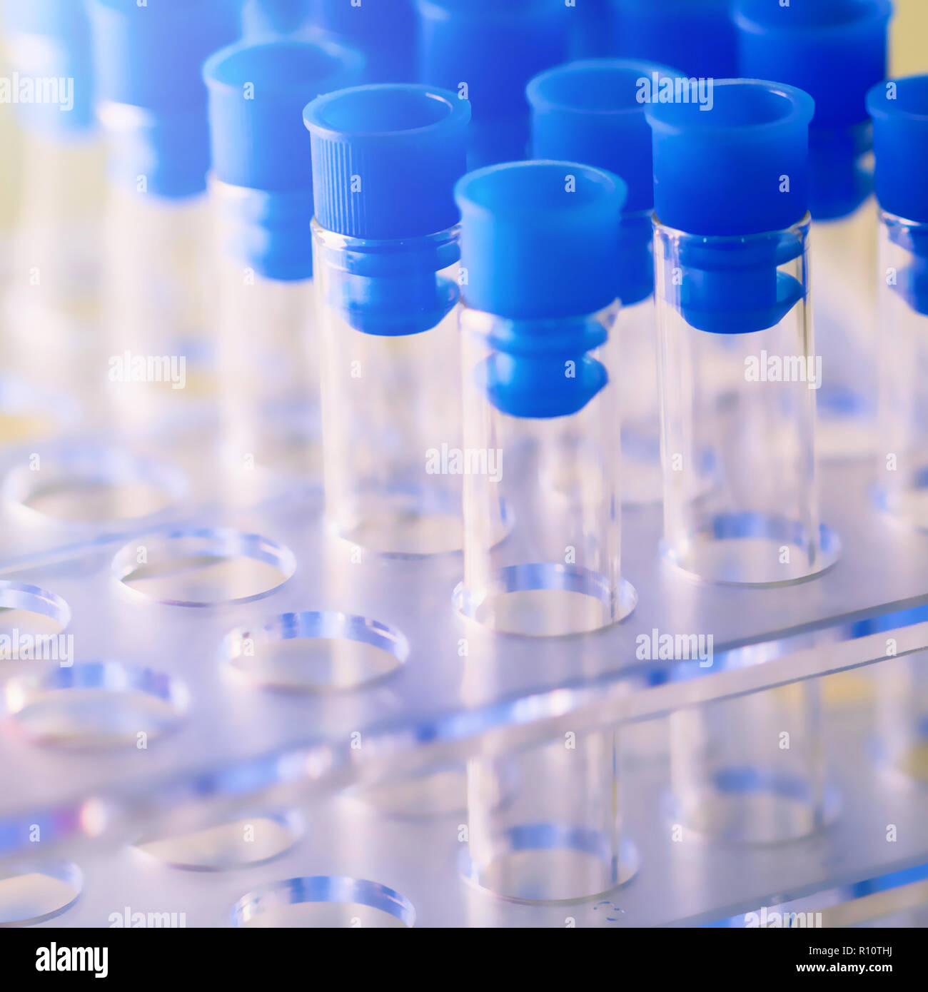 Test tubes Close up arranged in medical laboratory. Medical healthcare ...