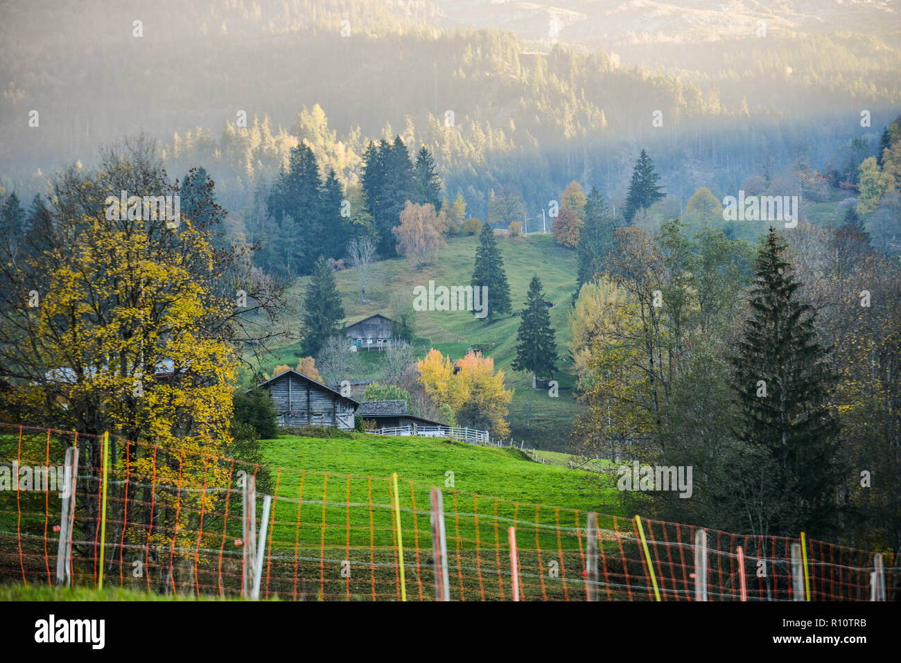 Mountain village at sunset in Grindelwald, Switzerland. Grindelwald was ...